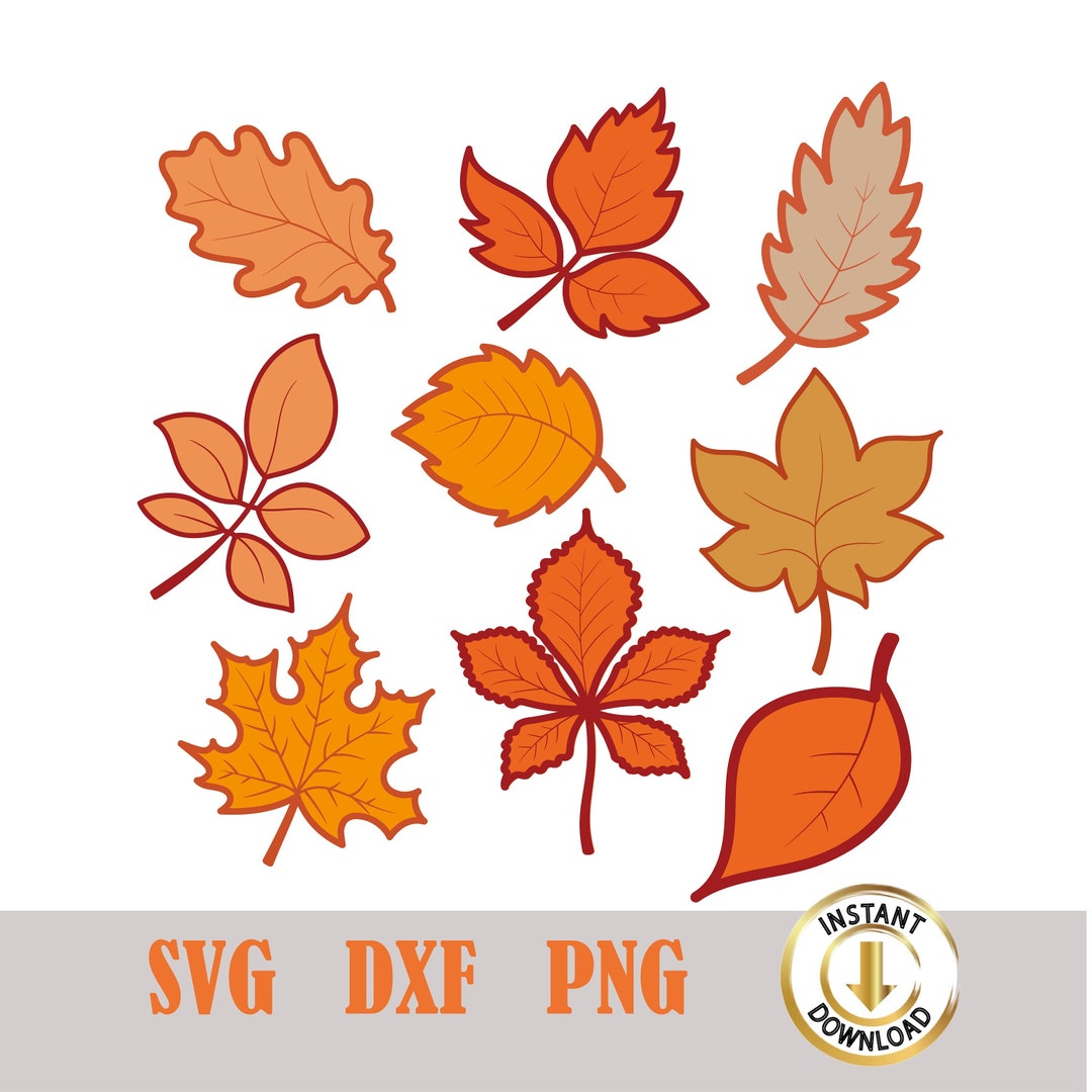 Leaves Svg Bundle Fall Leaves Svg Bundle Layered Leaf Svg - Etsy New ...