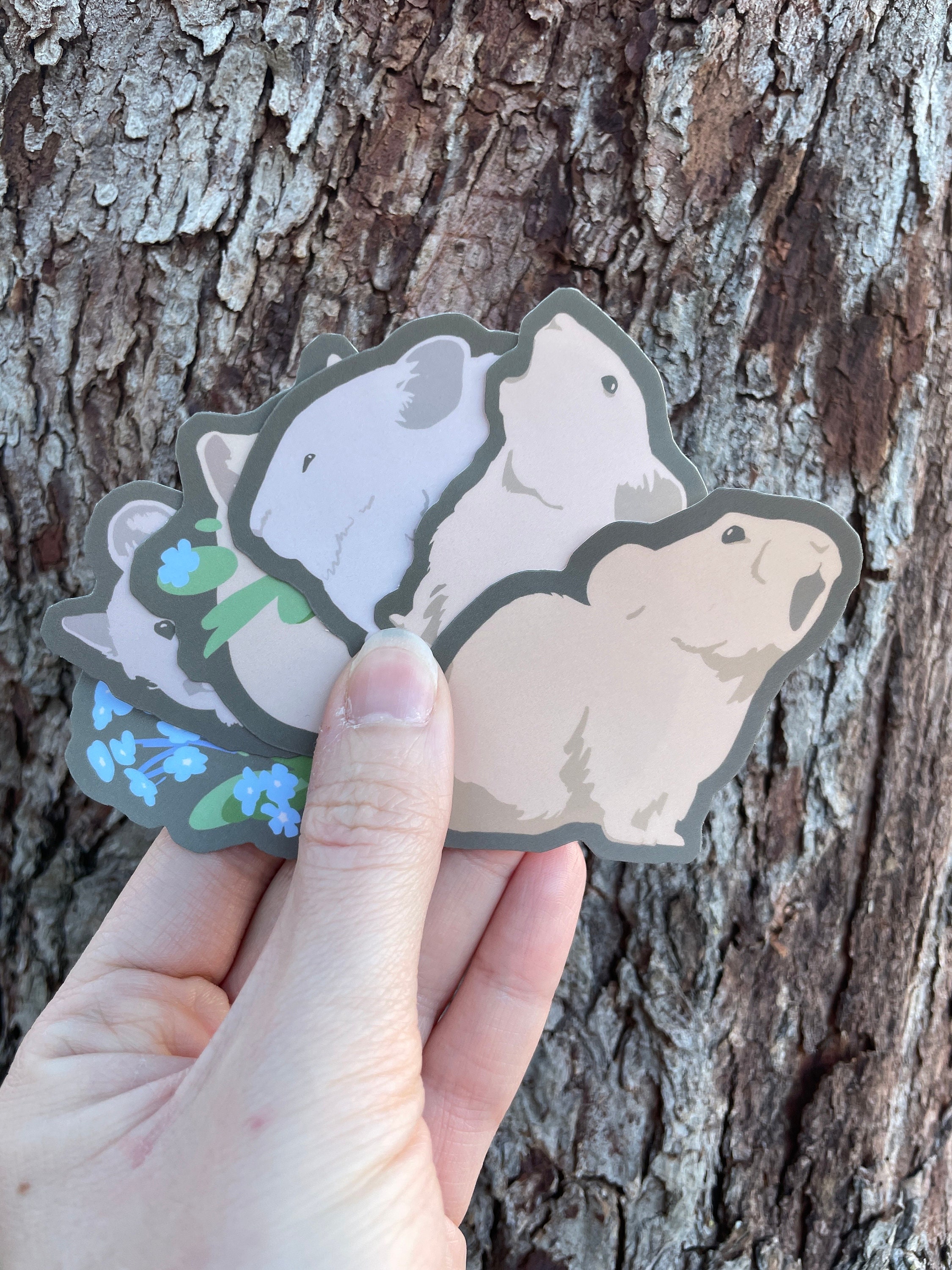 Pika Vinyl Sticker Pack for Laptop or Water Bottle - Etsy