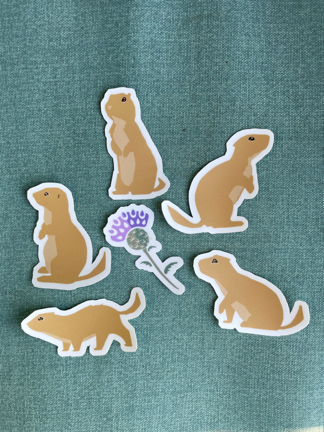 Prairie Dog Vinyl Sticker Pack for Laptop or Water Bottle - Etsy