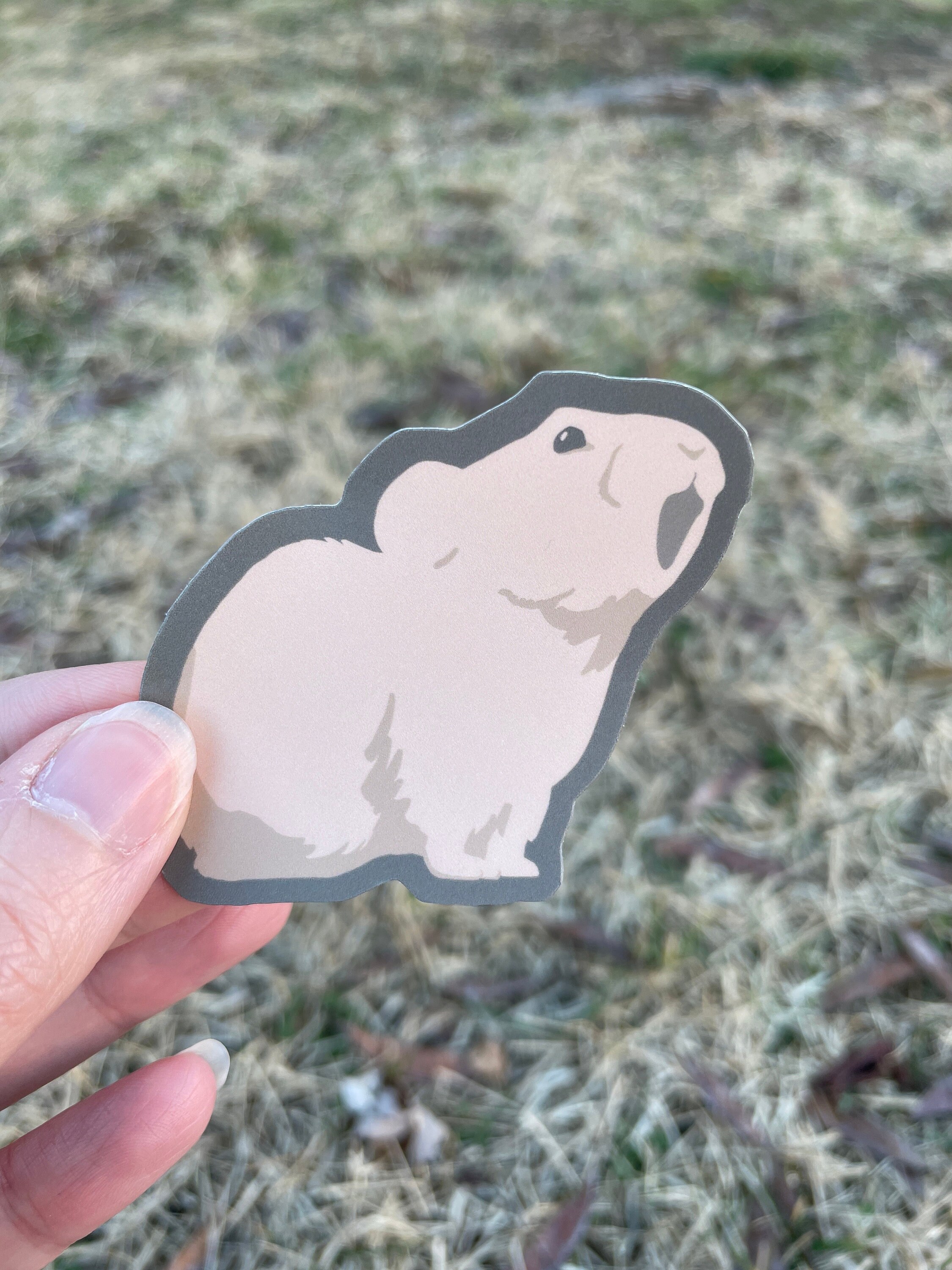 Pika Vinyl Sticker Pack for Laptop or Water Bottle - Etsy