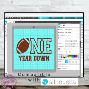 First Birthday Svg, One Year Down Svg, First Birthday Png, One Year ...
