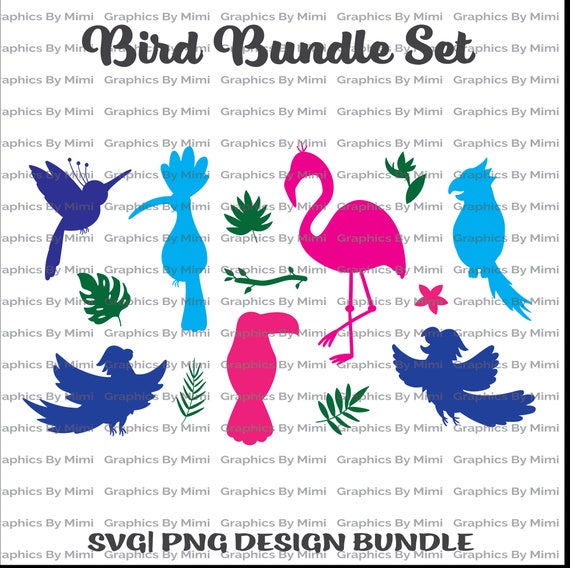 Birds Set Svg Tropical Bird Svg Birds Set Png Tropical Bird | Etsy