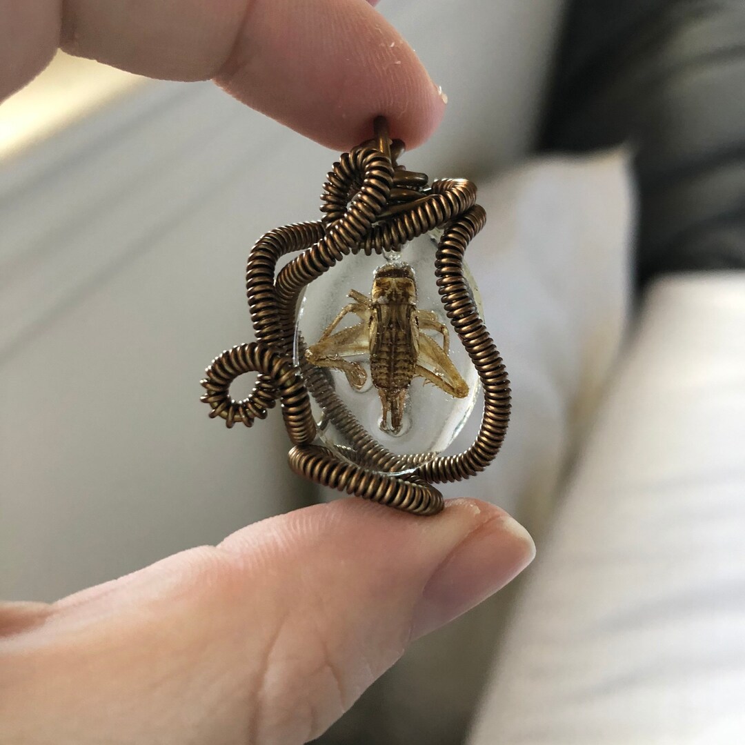 Cricket in Resin Wire Wrapped Pendant - Etsy