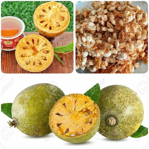 INDIAN BAEL Aegle Marmelos SEEDS 15 Seeds | Etsy