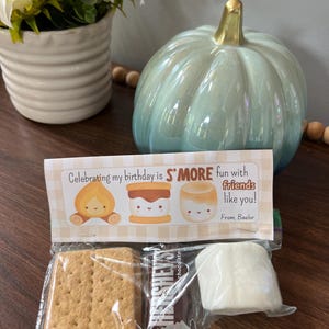 SMORE Birthday Gift Tag, Smore Party Favor Printable, Smore Friends ...