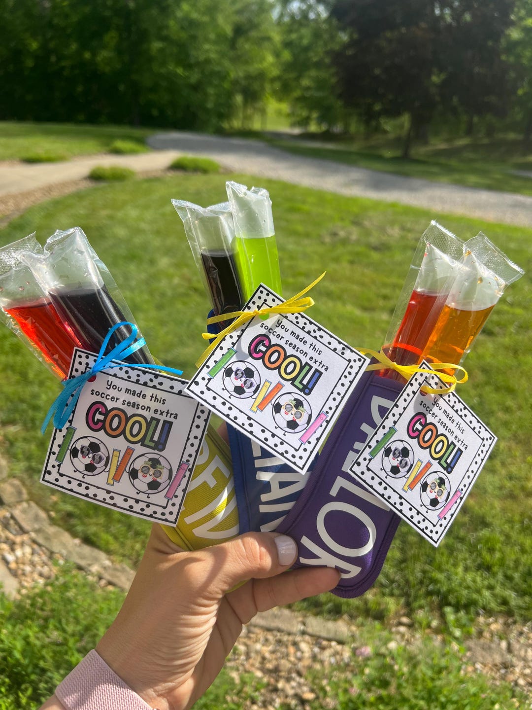 Soccer Team Gift Tag, Smore Party Favor Printable, Soccer Birthday ...