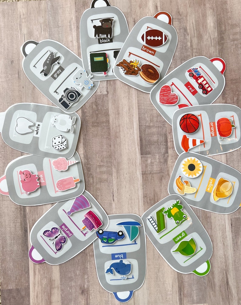 Color Sorting Activity Matching Colors Game Learning Colors - Etsy