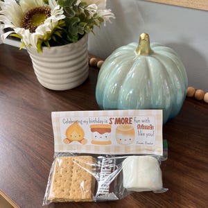 SMORE Birthday Gift Tag, Smore Party Favor Printable, Smore Friends ...