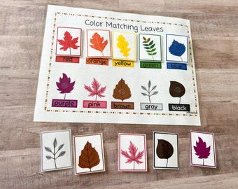 Fall Color Pumpkin Matching, Fall Busy Binder Printable, Preschool ...