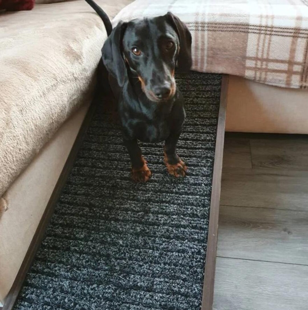 Adjustable Dog Ramp With Ribbed Carpet, Pet Ramp for Bed, Cat Ramp for ...