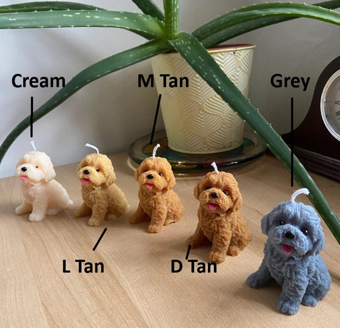 Cockapoo Candle - Cute Dog Candle - Unscented - Organic Wax - Cavapoo / Jackapoo - Etsy UK