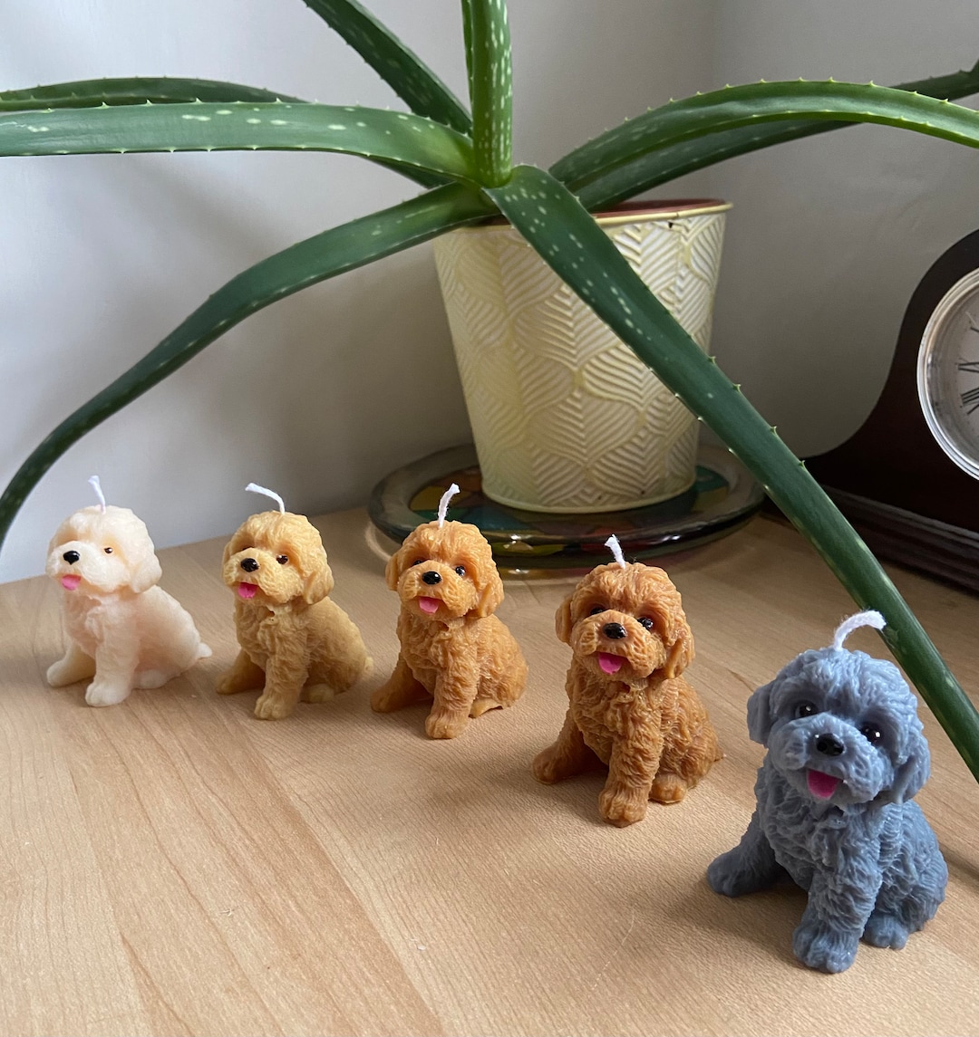 Cockapoo Candle Cute Dog Candle Unscented Organic Wax Cavapoo / Jackapoo - Etsy UK