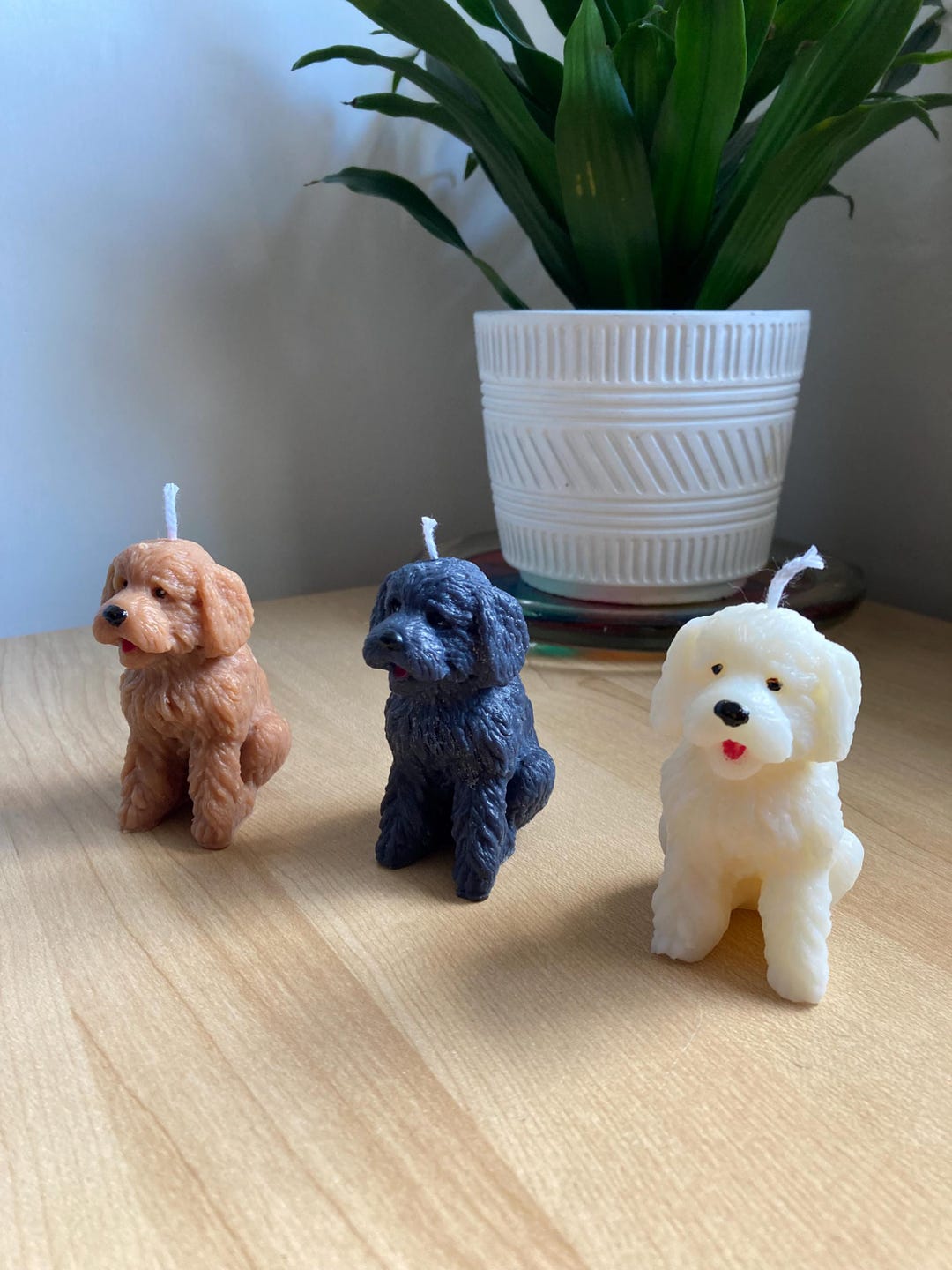 Jackapoo / Cockapoo / Cavapoo Dog Candle - New Design! - Organic Wax - Unscented - Etsy UK