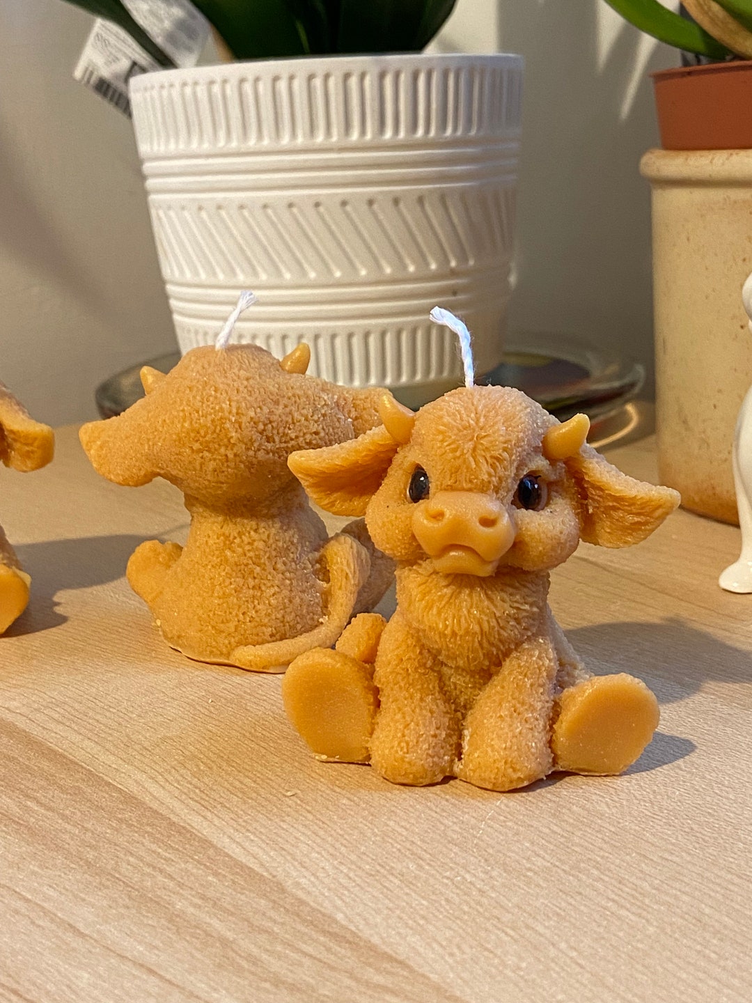 Highland Cow Candle - Highland Cow Calf - Baby Cow - Organic Olive Wax ...