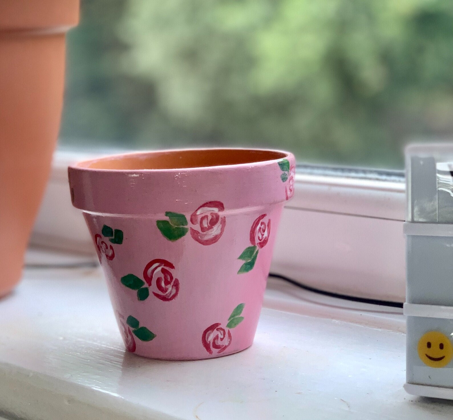 Rose Pink Painted Plant Pot - 11cm - Etsy UK