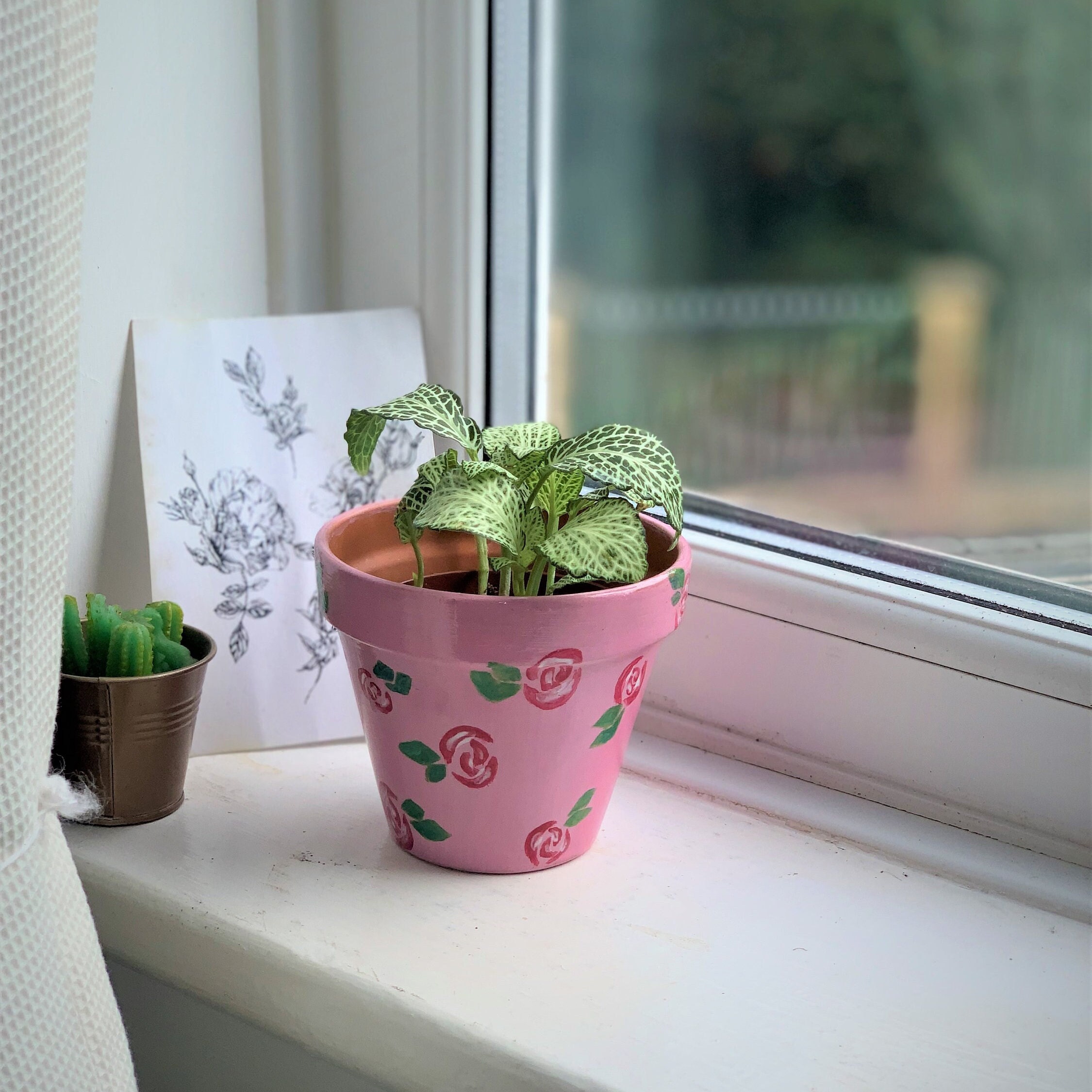 Rose Pink Painted Plant Pot - 11cm - Etsy UK