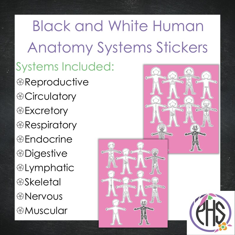 Black and White Coloring Anatomy Stickers, Body System Stickers ...