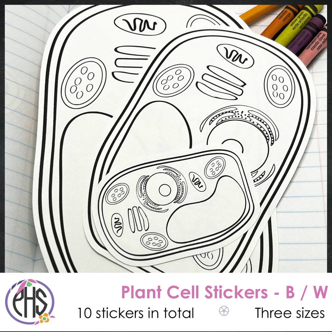 Plant Cell Stickers, Science Stickers, Biology Stickers, Homeschool ...