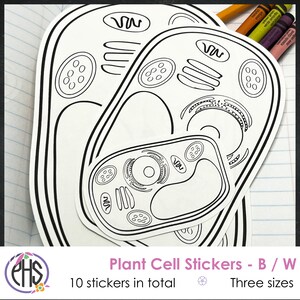 Plant Cell Stickers, Science Stickers, Biology Stickers, Homeschool ...