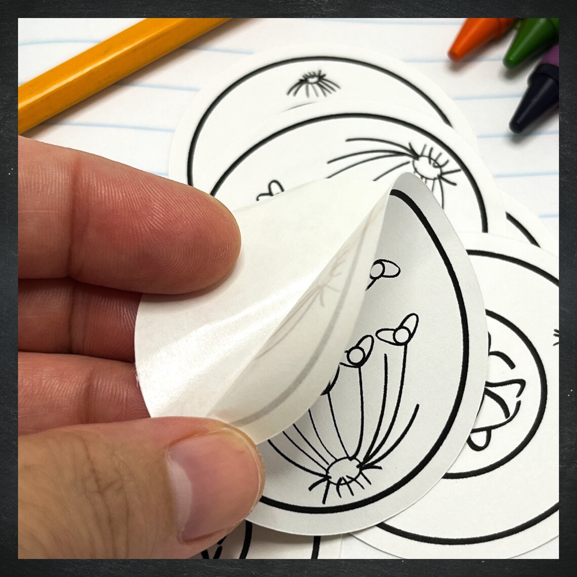 Black and White Cellular Mitosis Stickers Science Stickers - Etsy