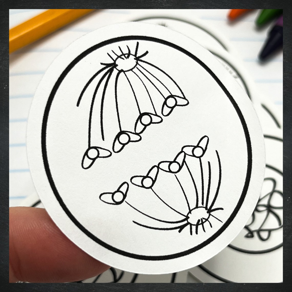 Black and White Cellular Mitosis Stickers Science Stickers - Etsy
