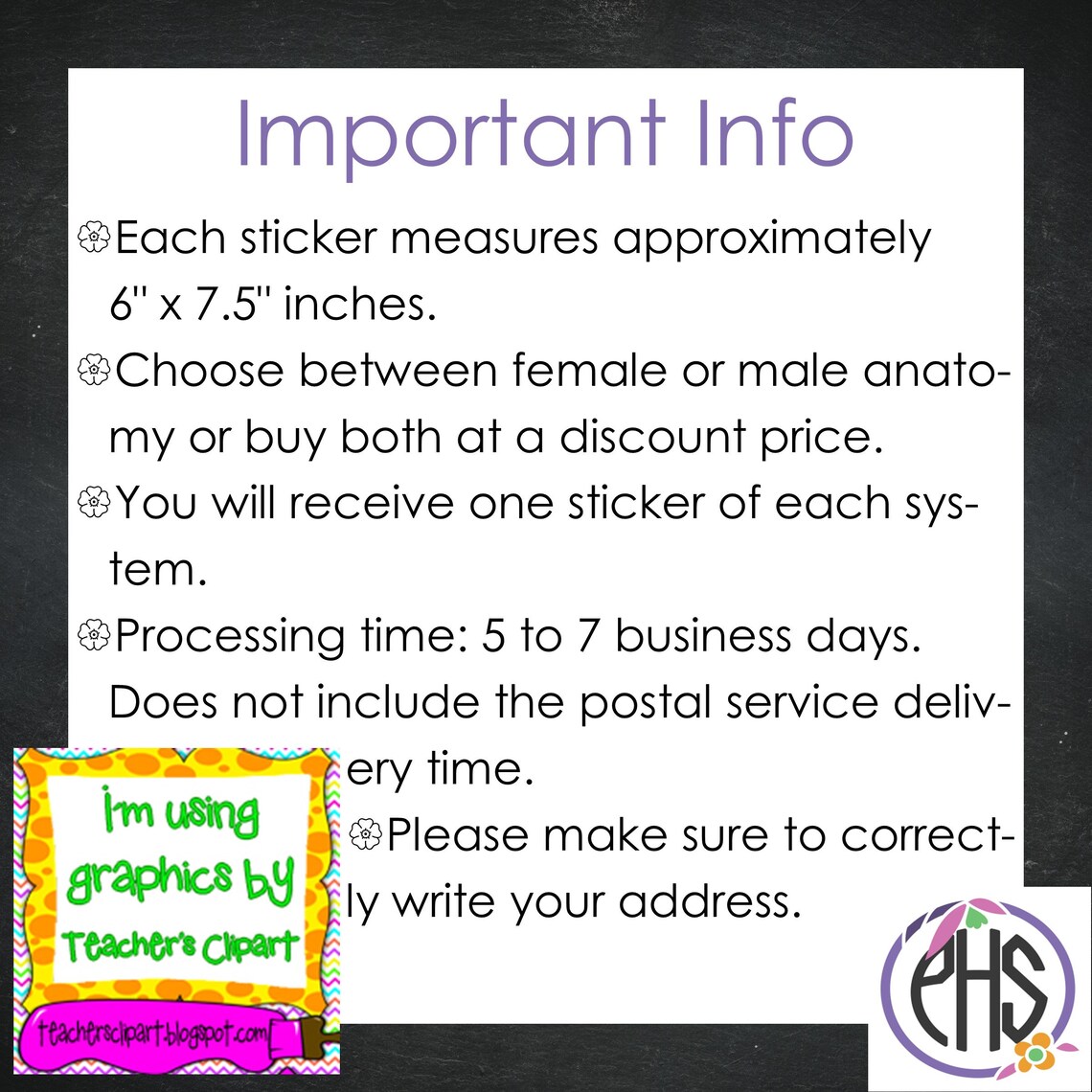 Black and White Coloring Anatomy Stickers Body System - Etsy