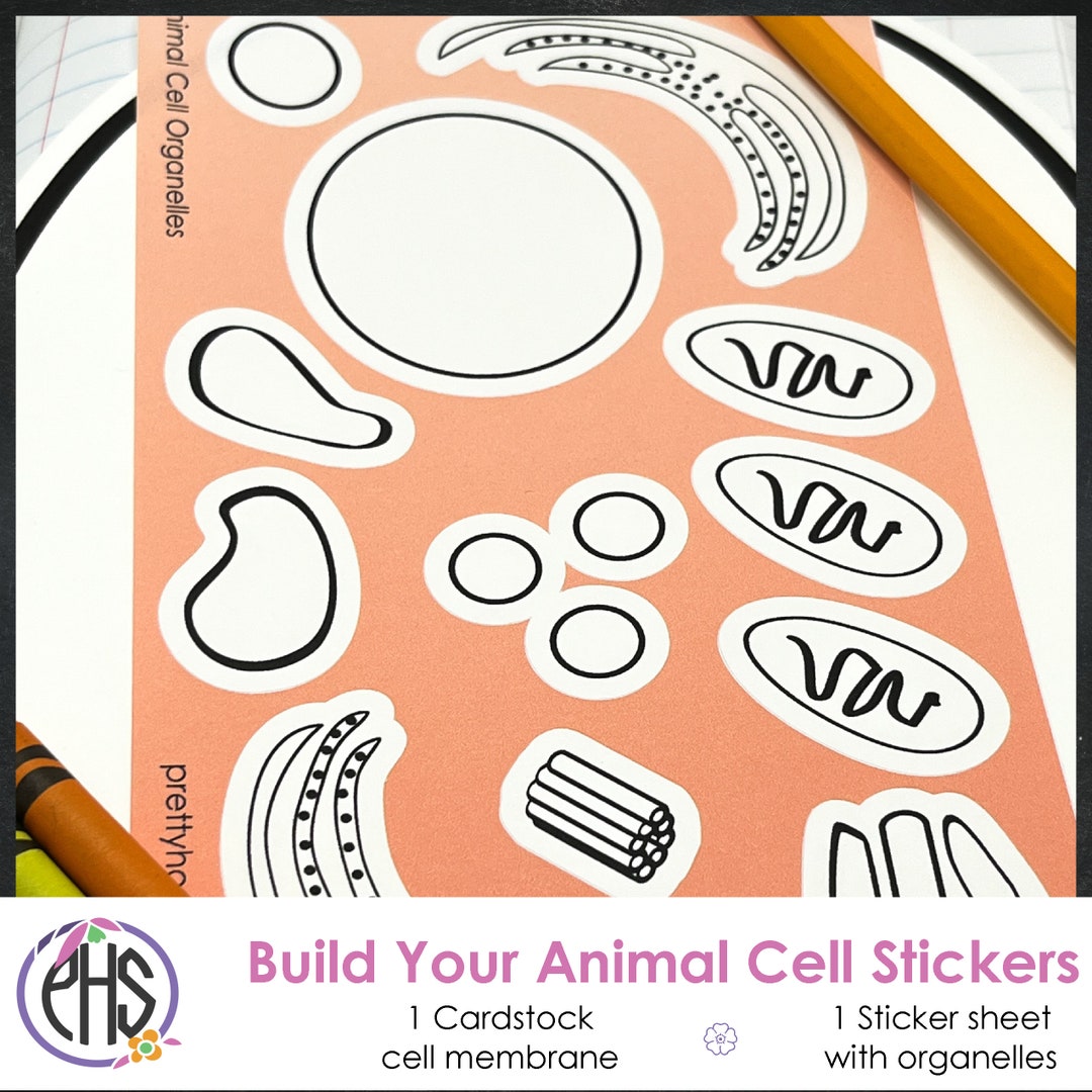 Homeschooling Biology Activity, Animal Cell Stickers, Science Stickers ...