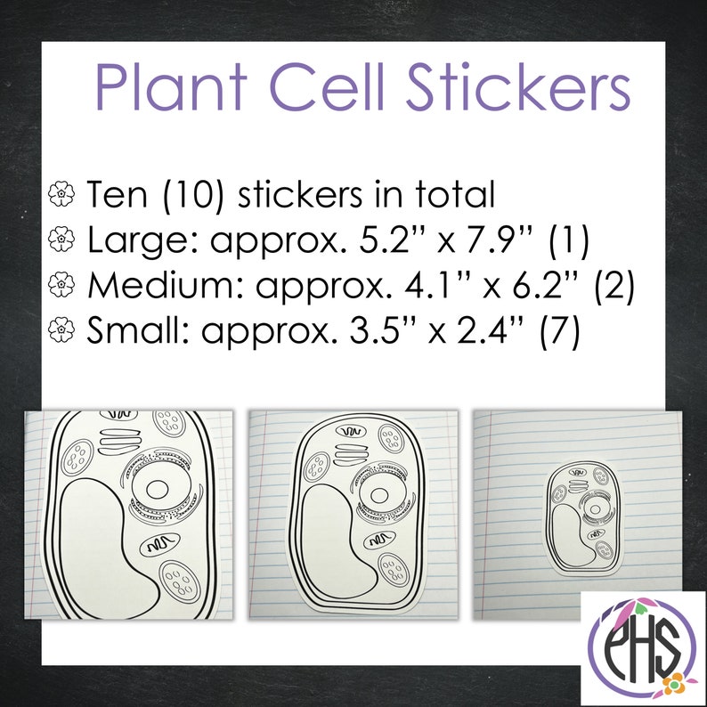 Plant Cell Stickers, Science Stickers, Biology Stickers, Homeschool ...
