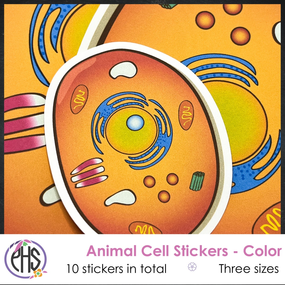 Animal Cell Stickers, Science Stickers, Biology Stickers, Homeschool ...