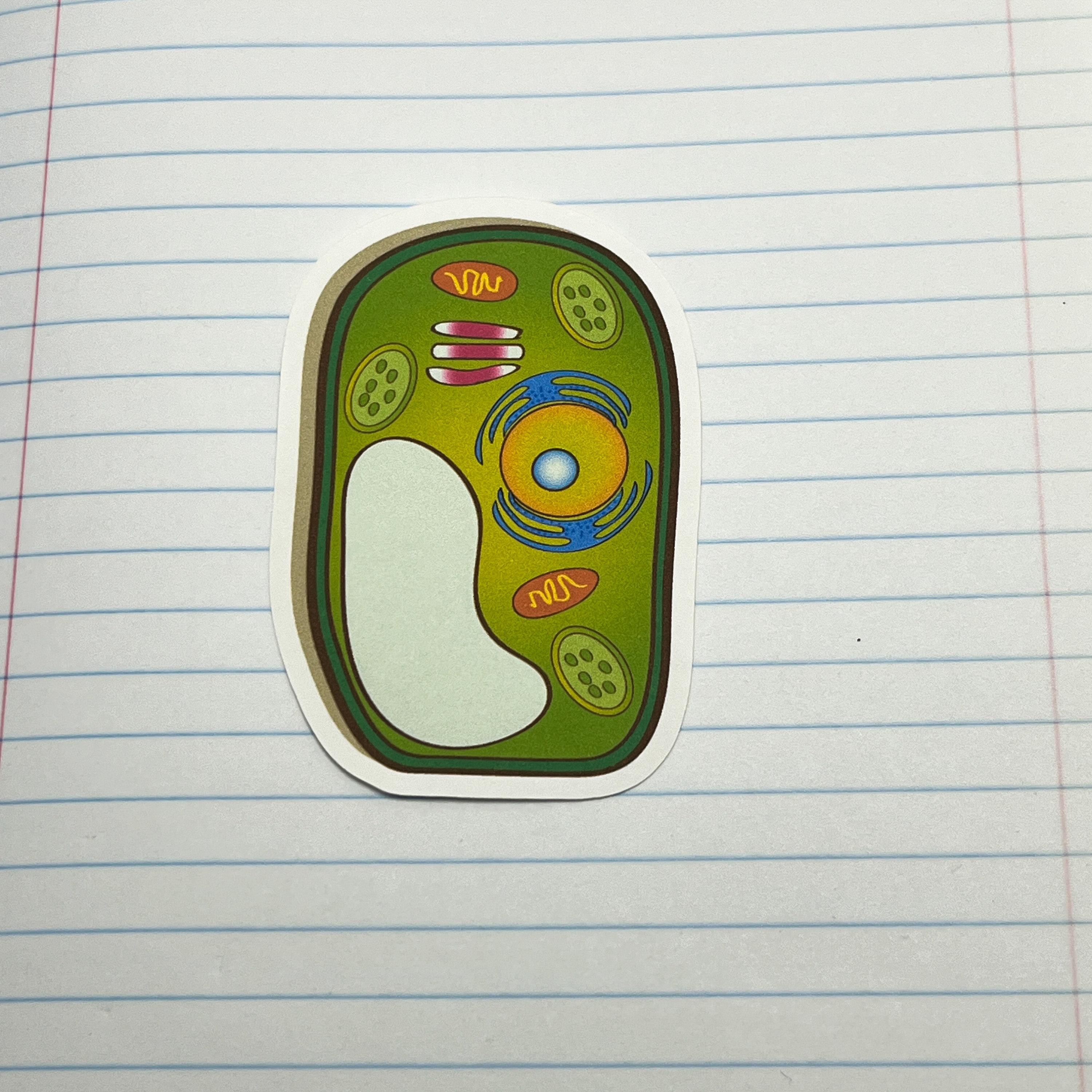 Plant Cell Stickers, Science Stickers, Biology Stickers, Homeschool ...