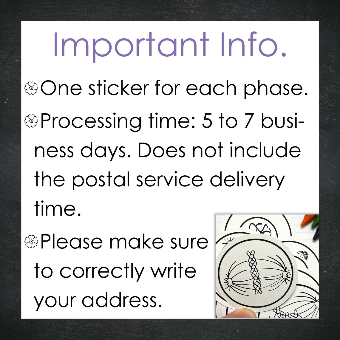 Black and White Cellular Mitosis Stickers Science Stickers - Etsy