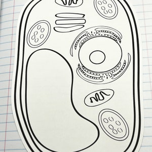 Plant Cell Stickers, Science Stickers, Biology Stickers, Homeschool ...