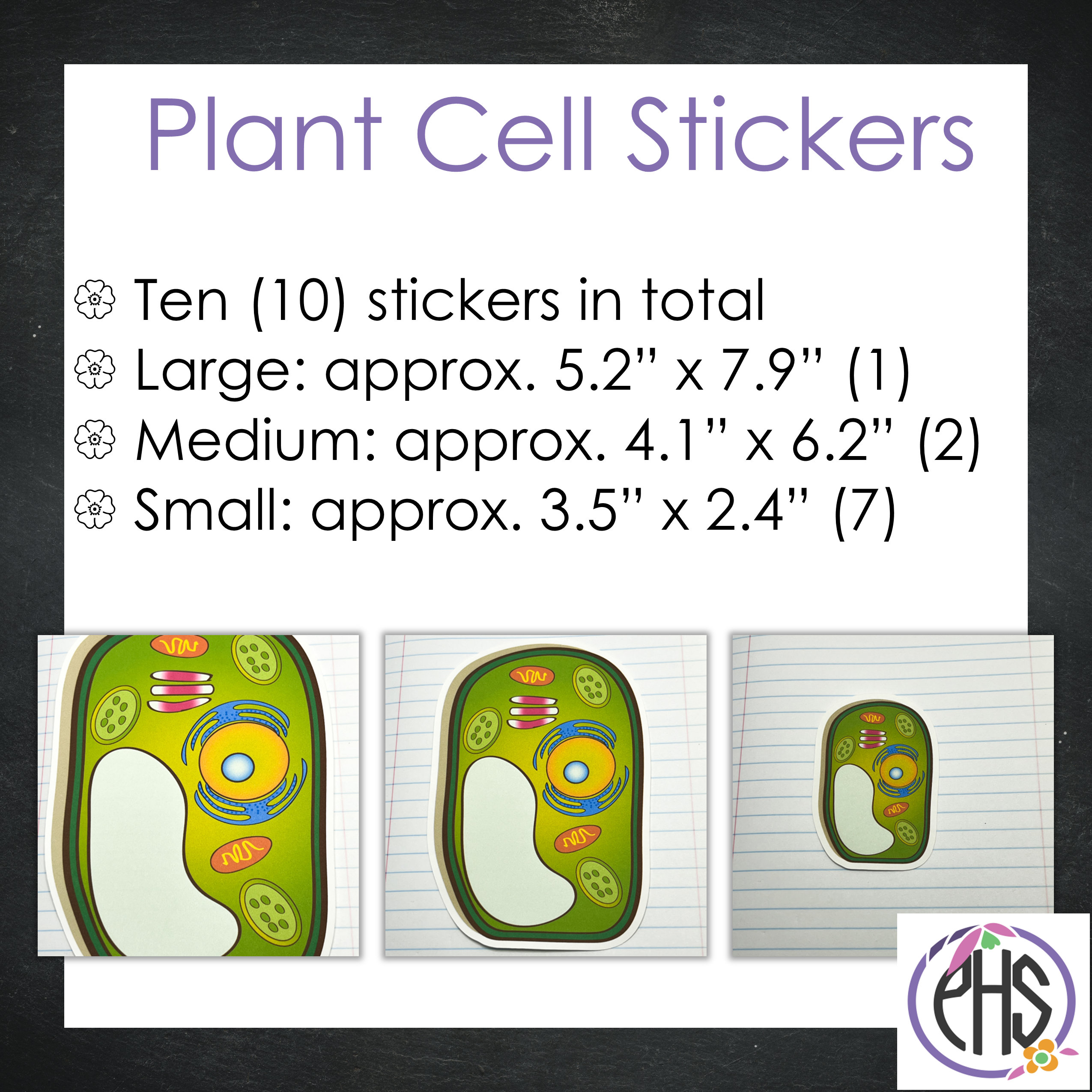 Plant Cell Stickers, Science Stickers, Biology Stickers, Homeschool ...