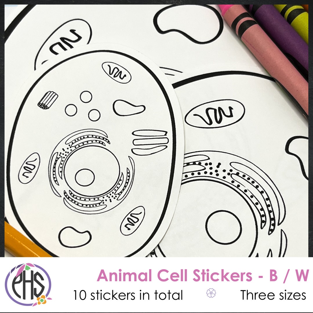 Animal Cell Stickers, Science Stickers, Biology Stickers, Homeschool ...