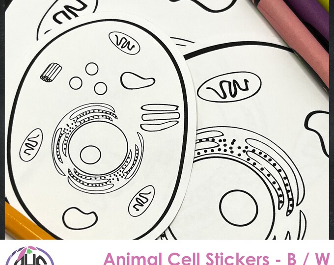 Animal Cell SVG and PDF Printable- a Homeschool or Classroom Science ...