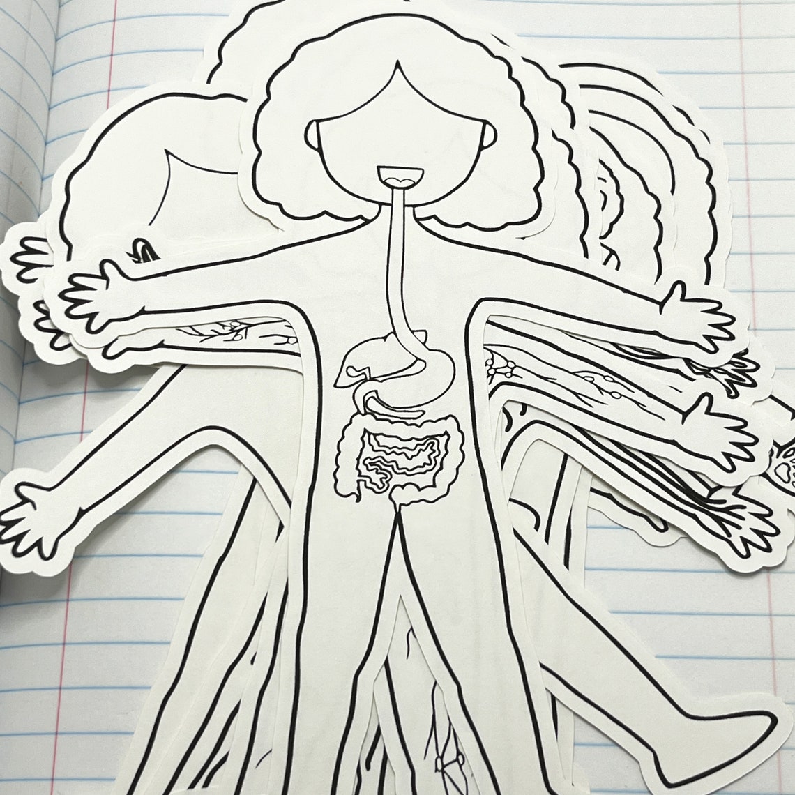 Black and White Coloring Anatomy Stickers, Body System Stickers ...