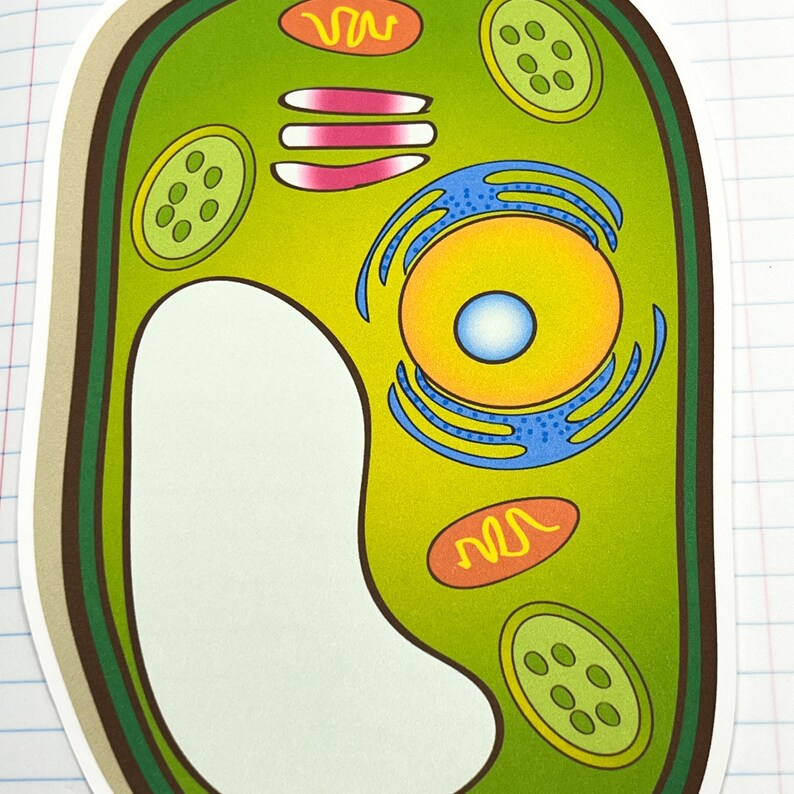 Plant Cell Stickers, Science Stickers, Biology Stickers, Homeschool ...