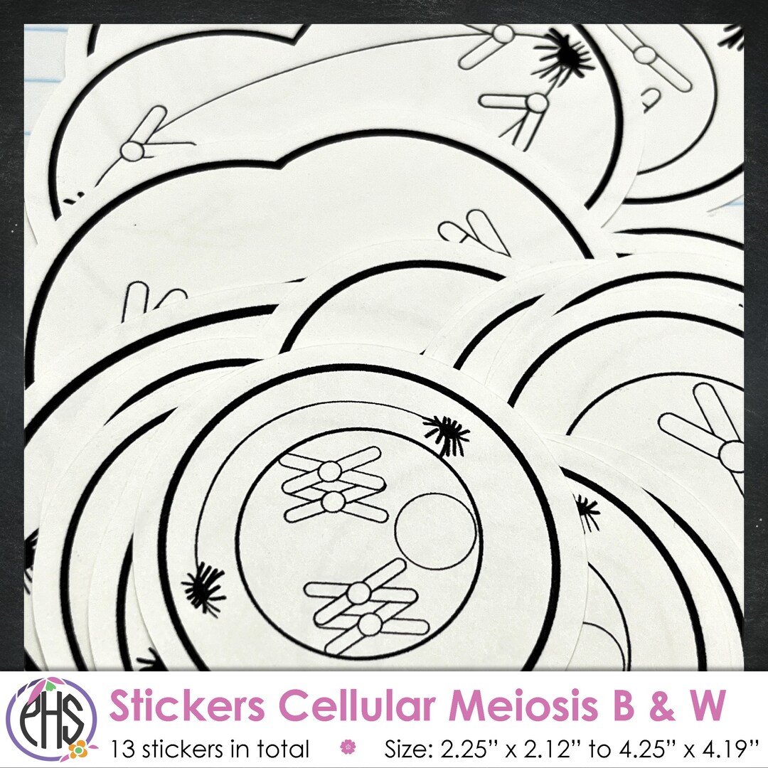 Black and White Meiosis Stickers, Science Stickers, Homeschool Stickers ...