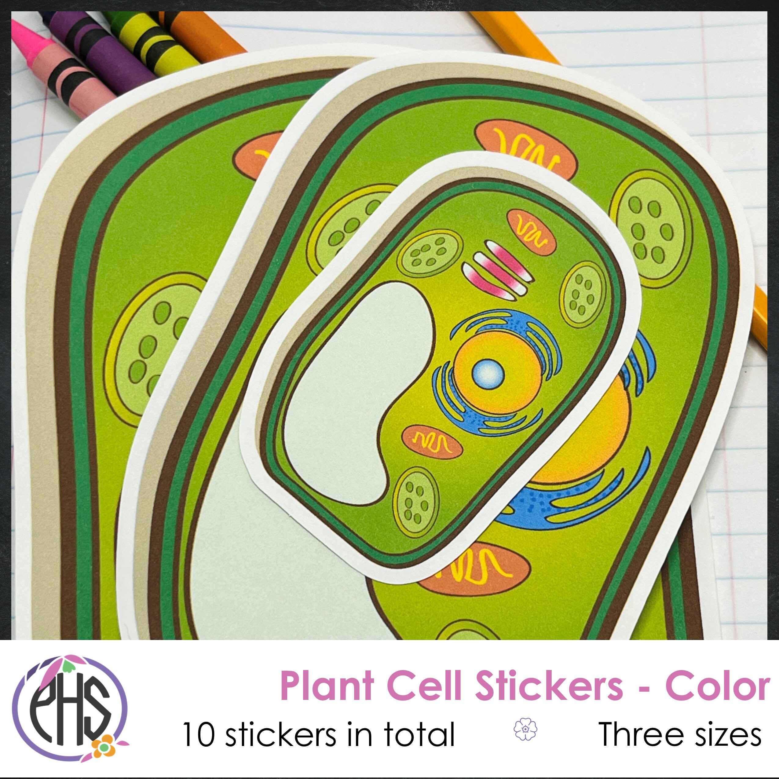 Plant Cell Stickers, Science Stickers, Biology Stickers, Homeschool ...