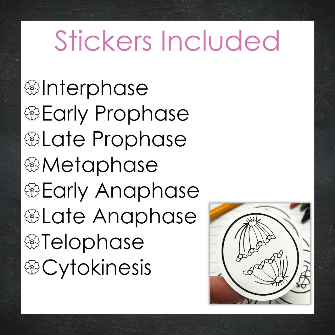 Black and White Cellular Mitosis Stickers Science Stickers - Etsy