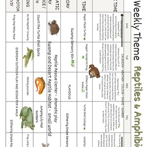 Reptiles and Amphibians Preschool Lesson Plan | 5-day Thematic Unit - Etsy