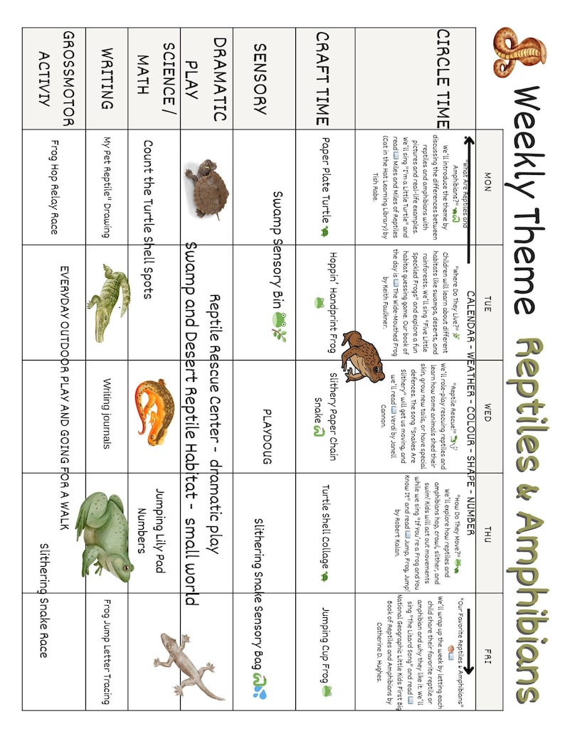 Reptiles and Amphibians Preschool Lesson Plan | 5-day Thematic Unit - Etsy