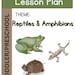 Reptiles and Amphibians Preschool Lesson Plan | 5-day Thematic Unit - Etsy