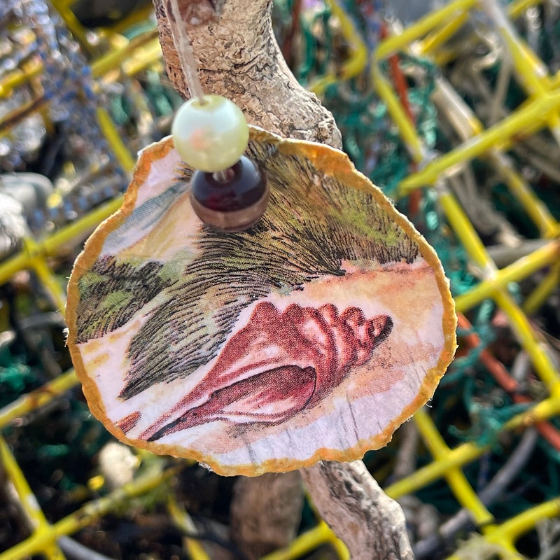 Decoupage Conch Shells - Etsy