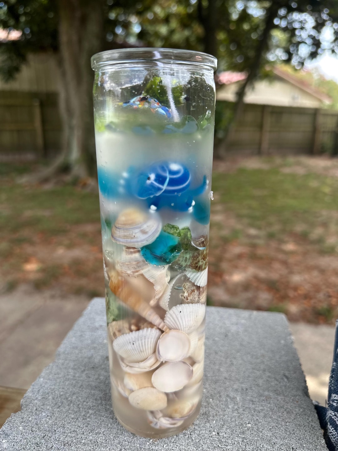 Seashell Sea Turtle & Octopus Gel Candle: Sea Moss Scent, 7.5 Inch - Etsy