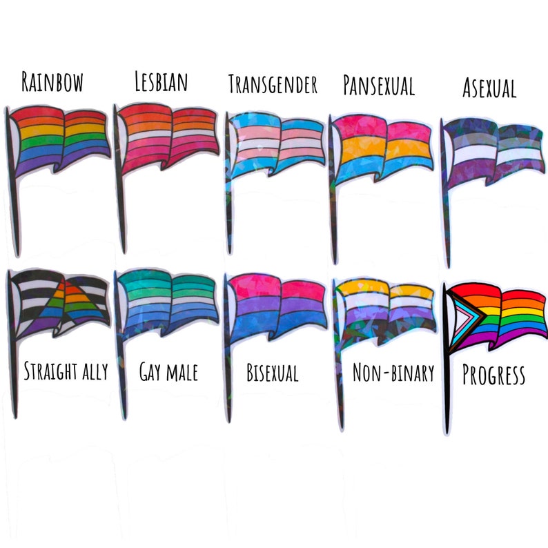 PRIDE Flag / 9 different LGBTQ Flags Rainbow Lesbian Gay | Etsy