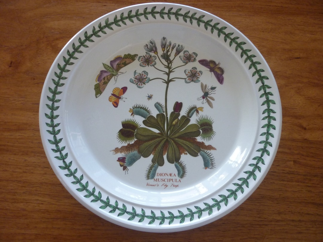 Portmeirion England Botanic Garden Venus Fly Trap Dinner Plate 26cm ...