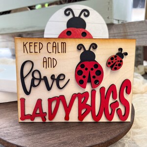 Ladybug Wood Signs, Summer, Ladybugs, Don’t Bug the Lady, Red and Black ...