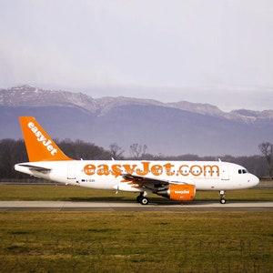 Easyjet Airbus A319 G-EZII Fuselage Cut Luggage Tag Keychain Keyring ...