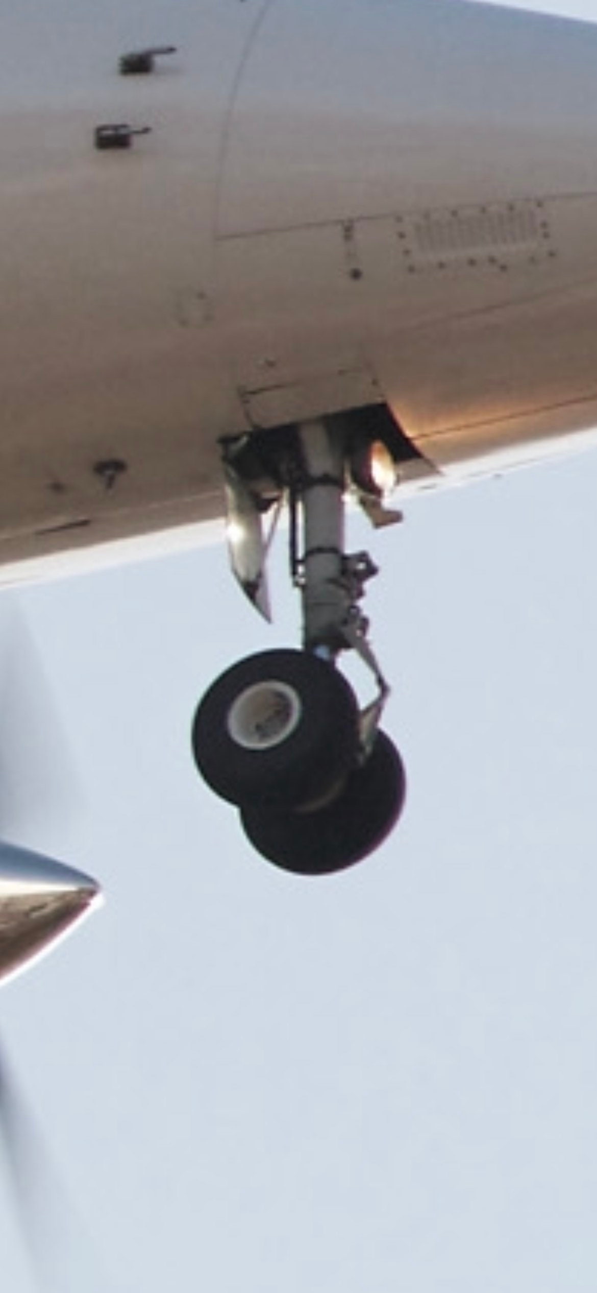 BAE Jetstream T1 Nosewheel Landing Gear Ex Mod. Upcycled Low Level ...